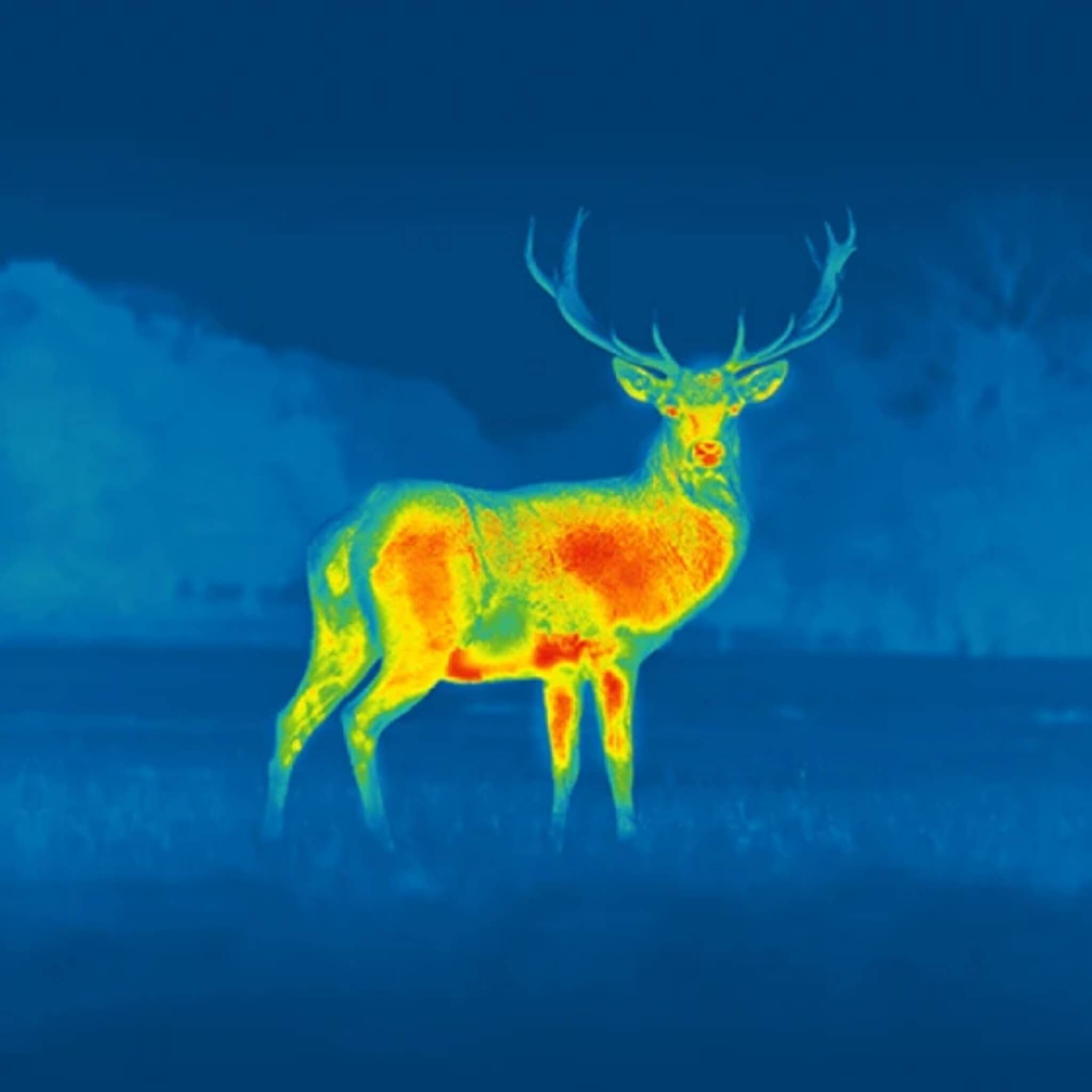 HikMicro Lynx Pro LE10S: Elite Thermal Monocular